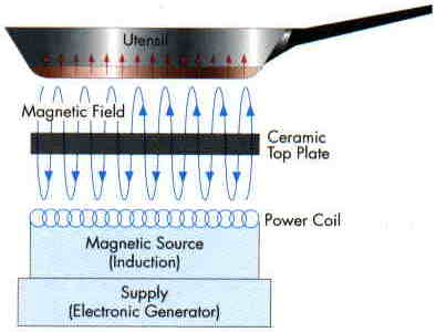 Induction Cooking – RambleWood Equipment & Consulting Limited